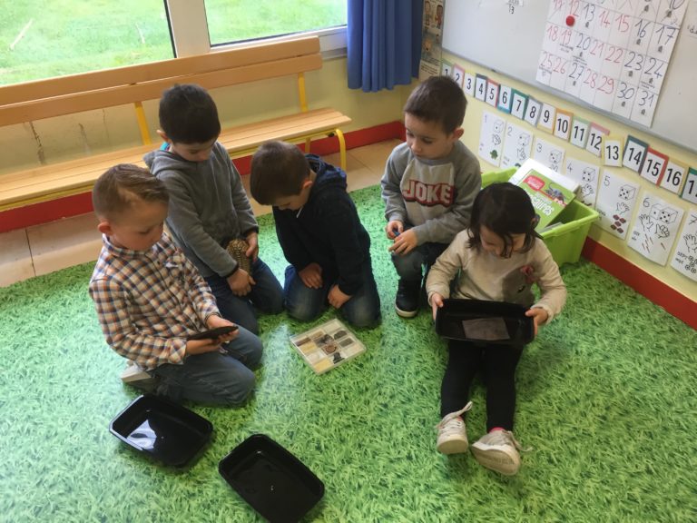 Nos dinosaures… – ECOLE ST JAOUA | PLOUVIEN